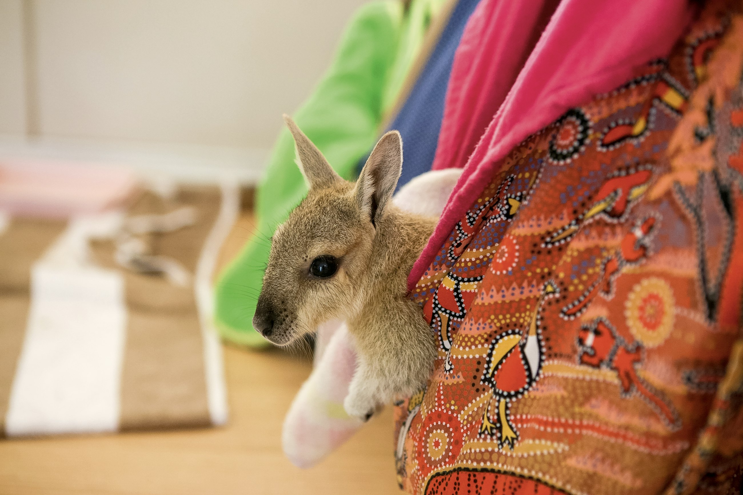 Rustic Pathways International Virtual Volunteer Opportunities - The Fourth Estate