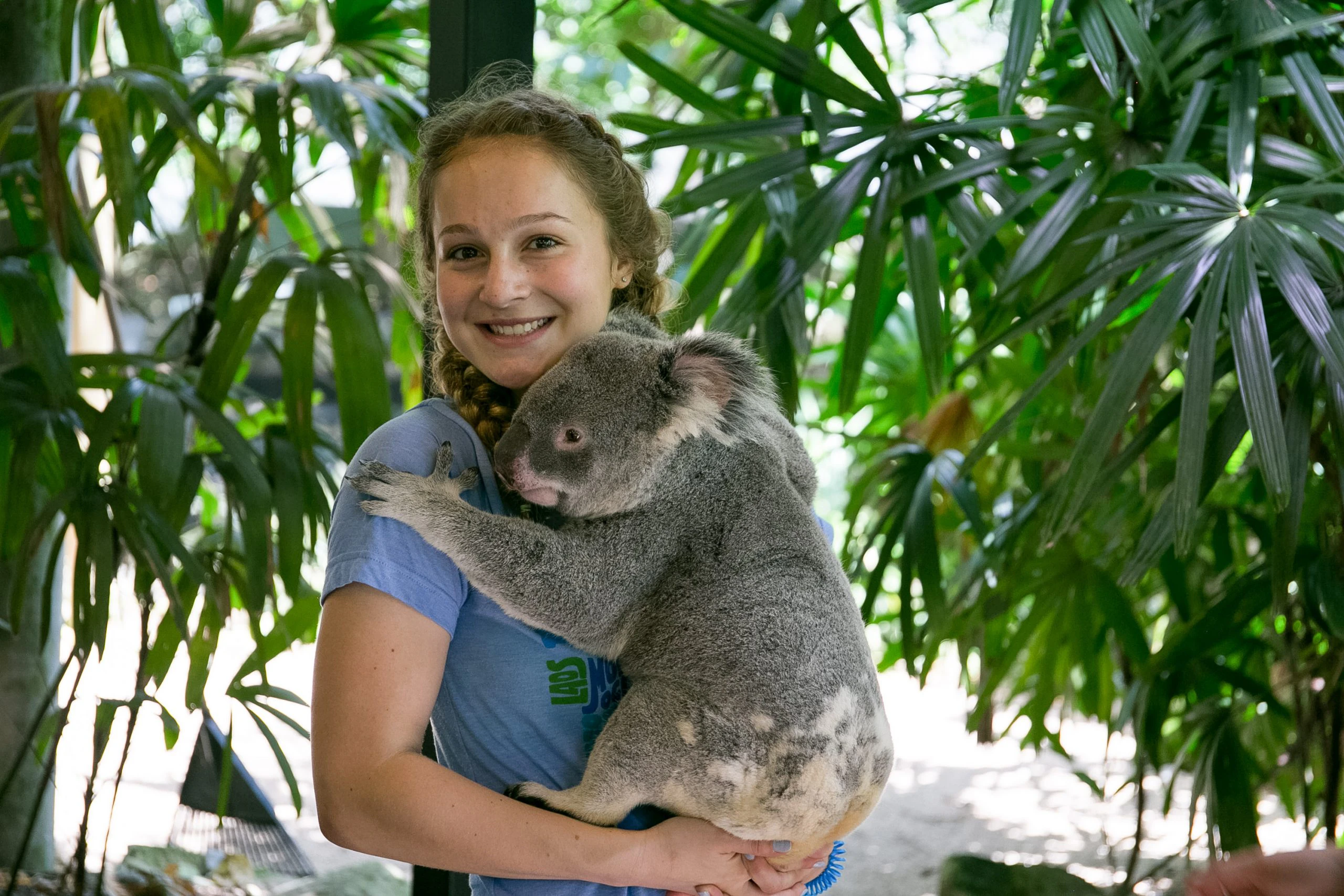 7 Wonders of Australia: The Most Famous Places In Australia
