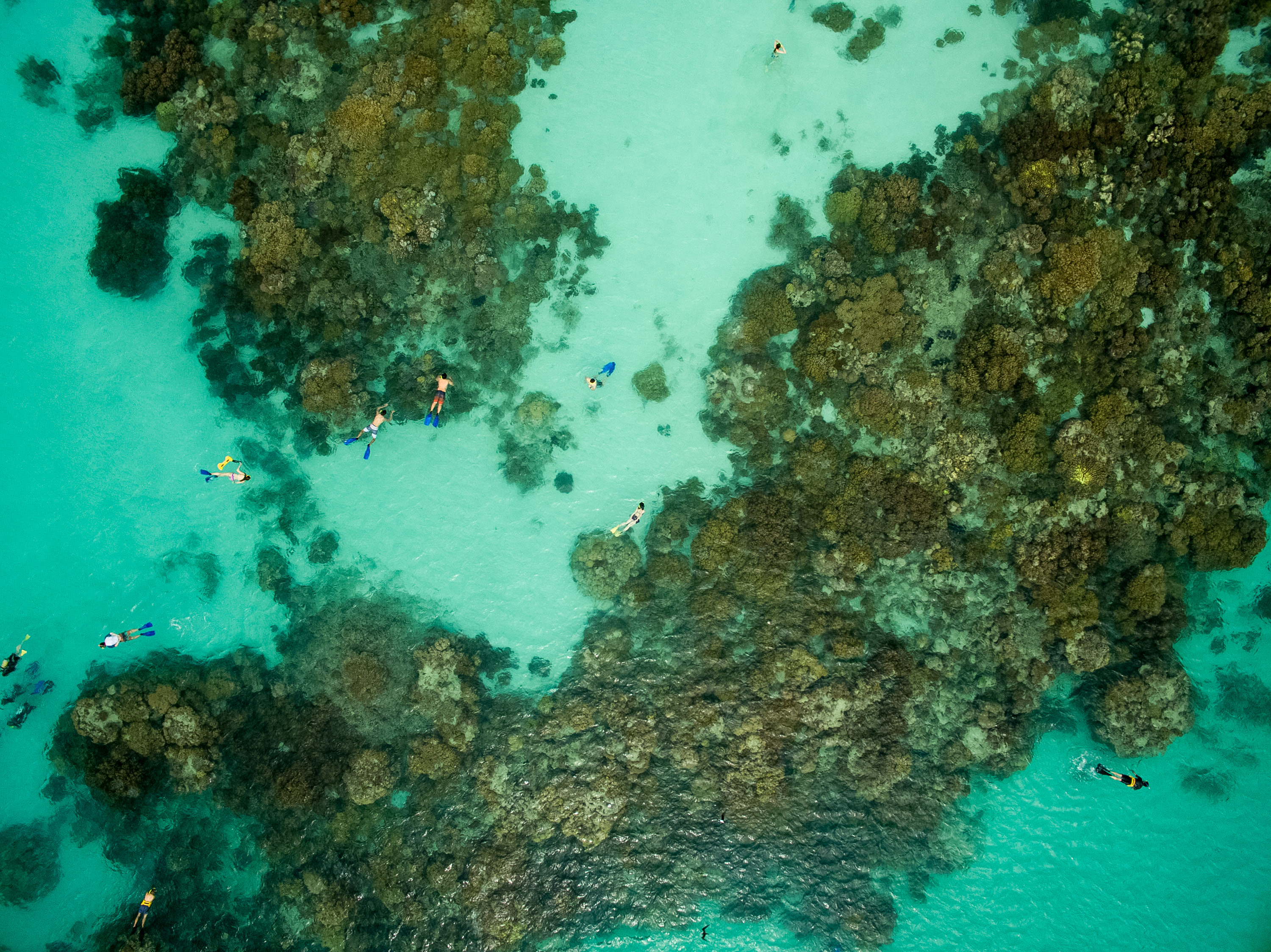 Request a 2026 Rustic Pathways Catalog | Rustic Pathways