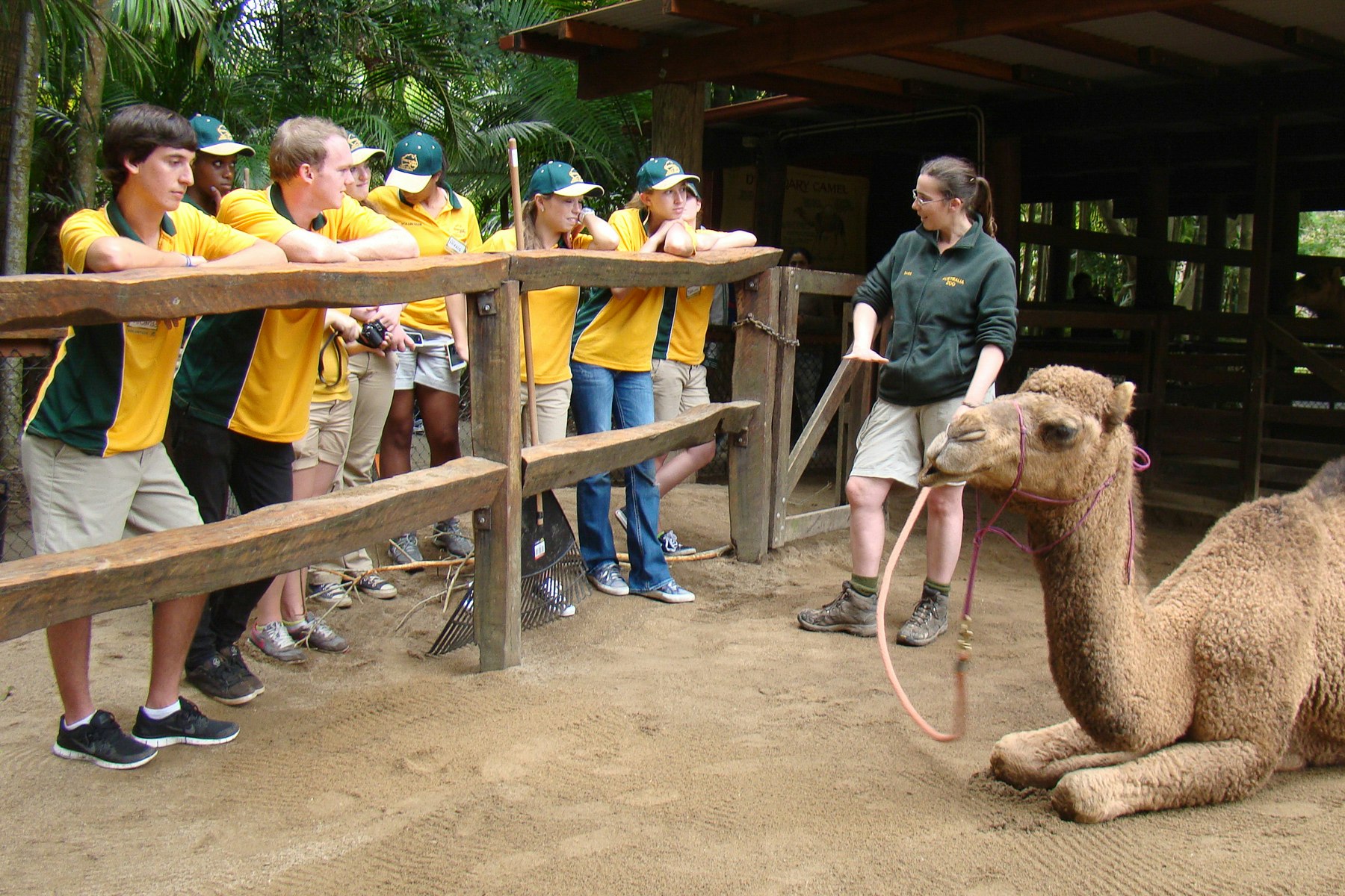 Australia: Animal Conservation