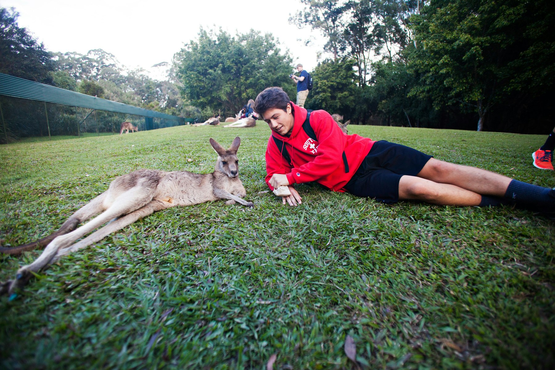 Australia: Animal Conservation