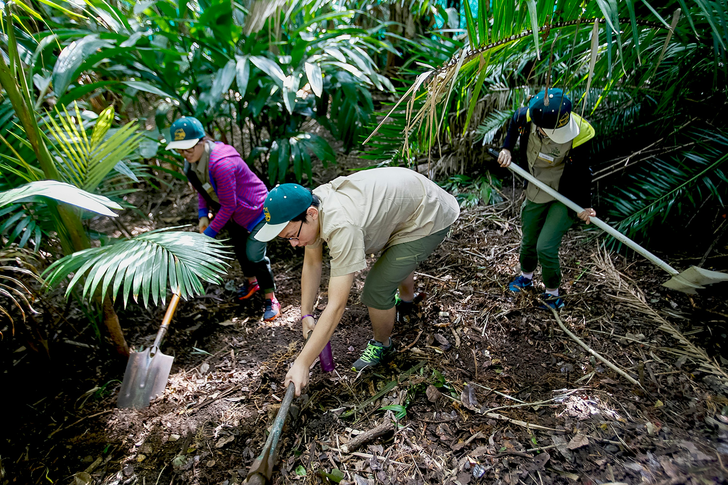 Australia: Animal Conservation