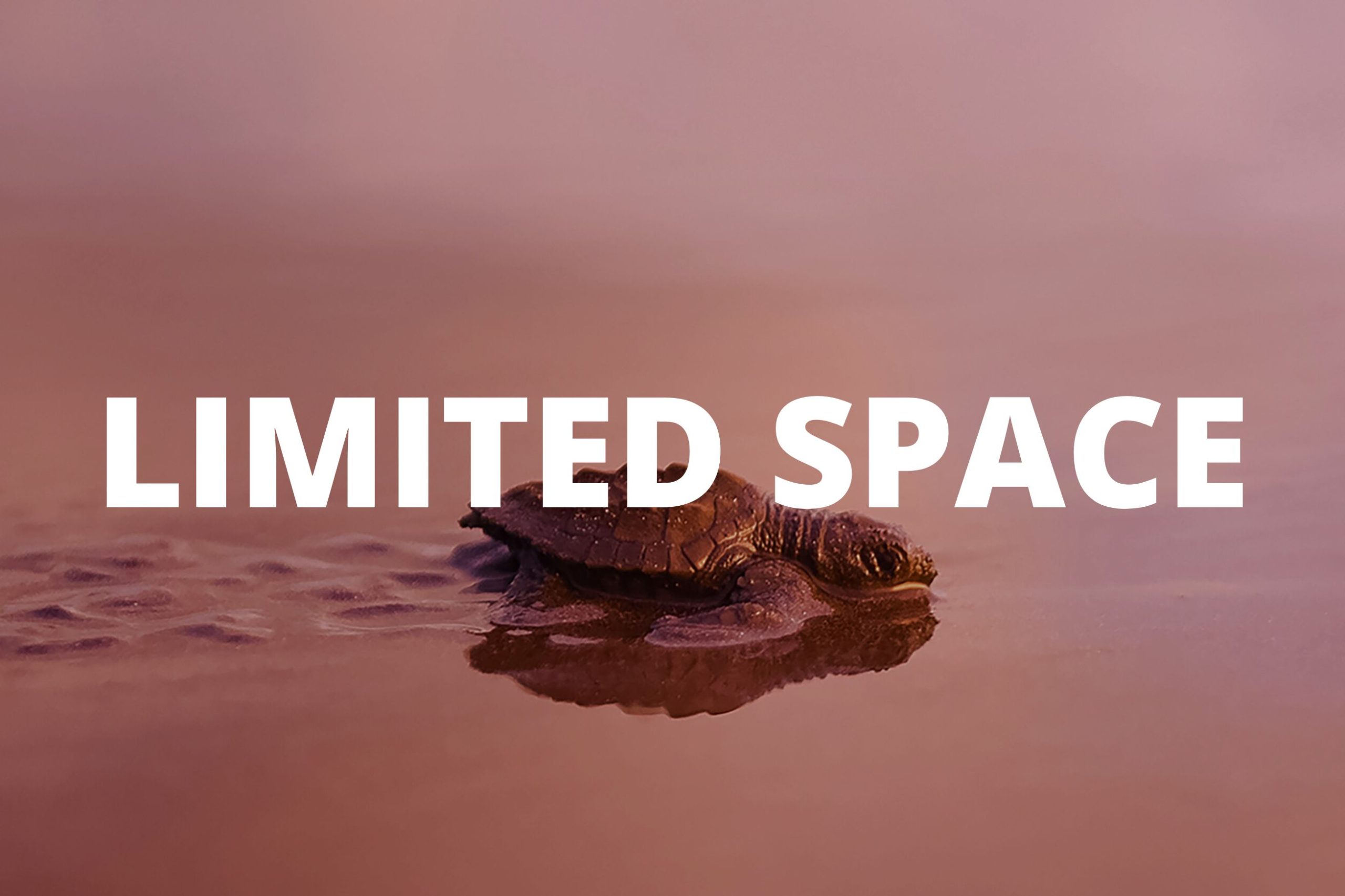 Costa Rica: Surf and Service | Rustic Pathways