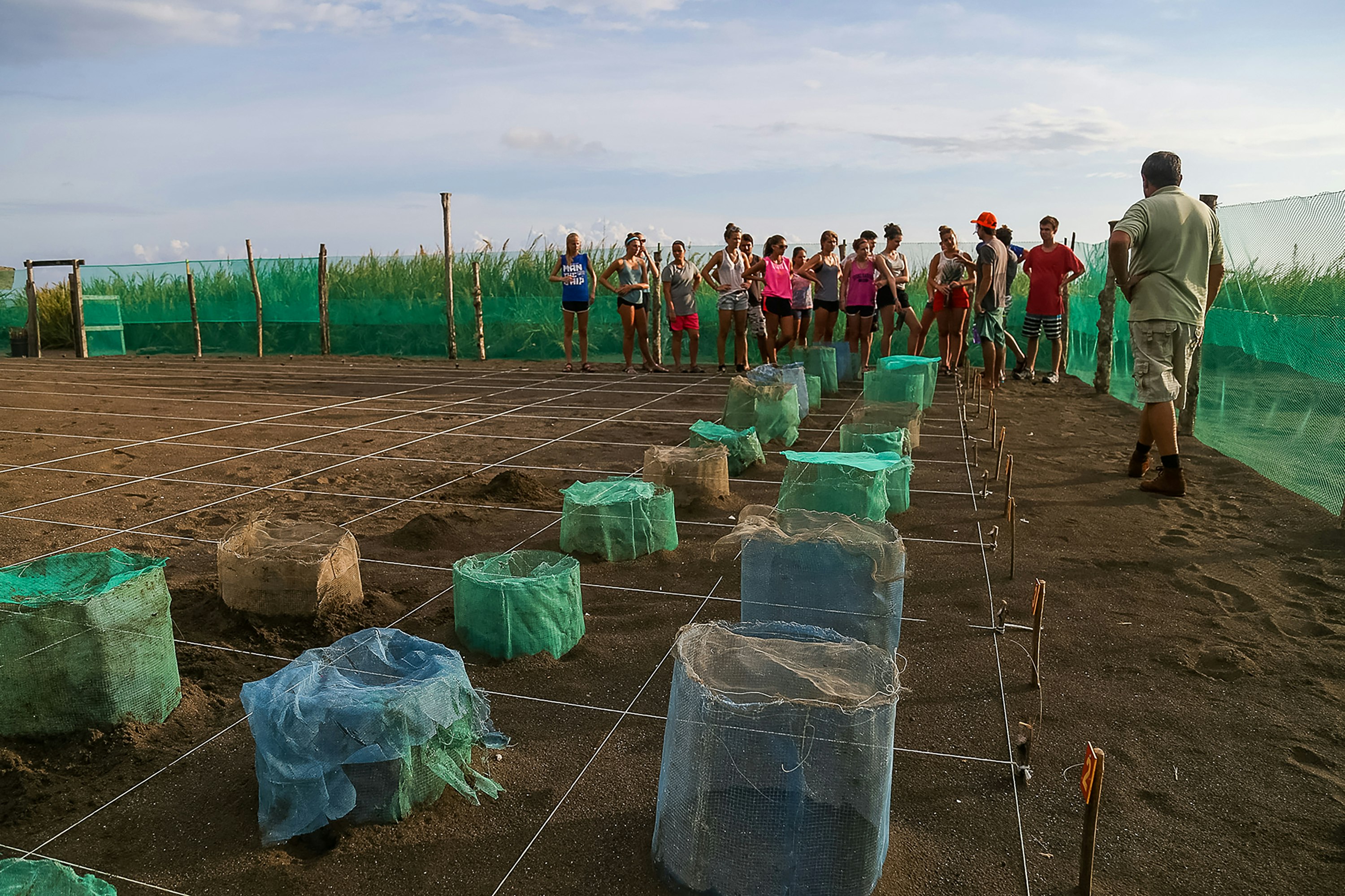 Costa Rica: Turtle Conservation Project | Rustic Pathways