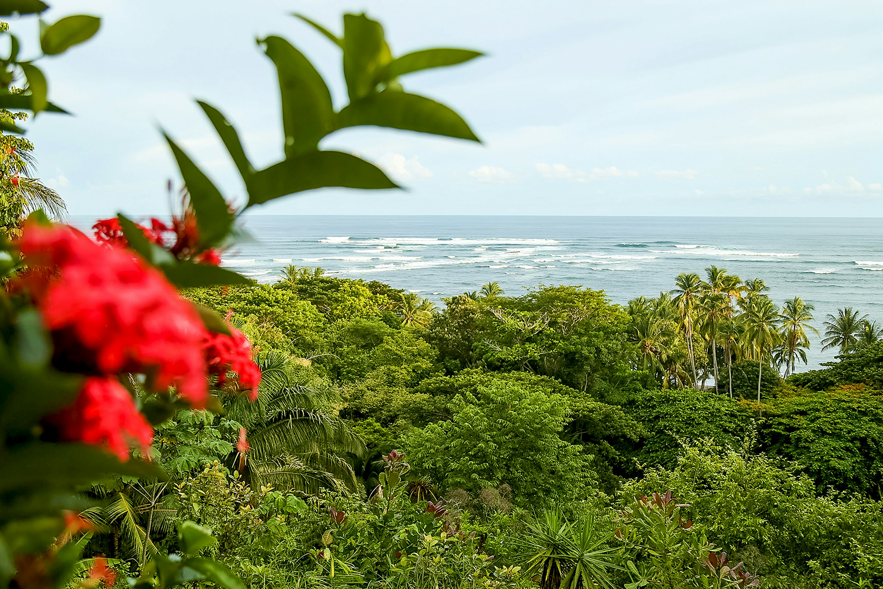 Costa Rica: Turtle Conservation Program (17 and older) | Rustic Pathways