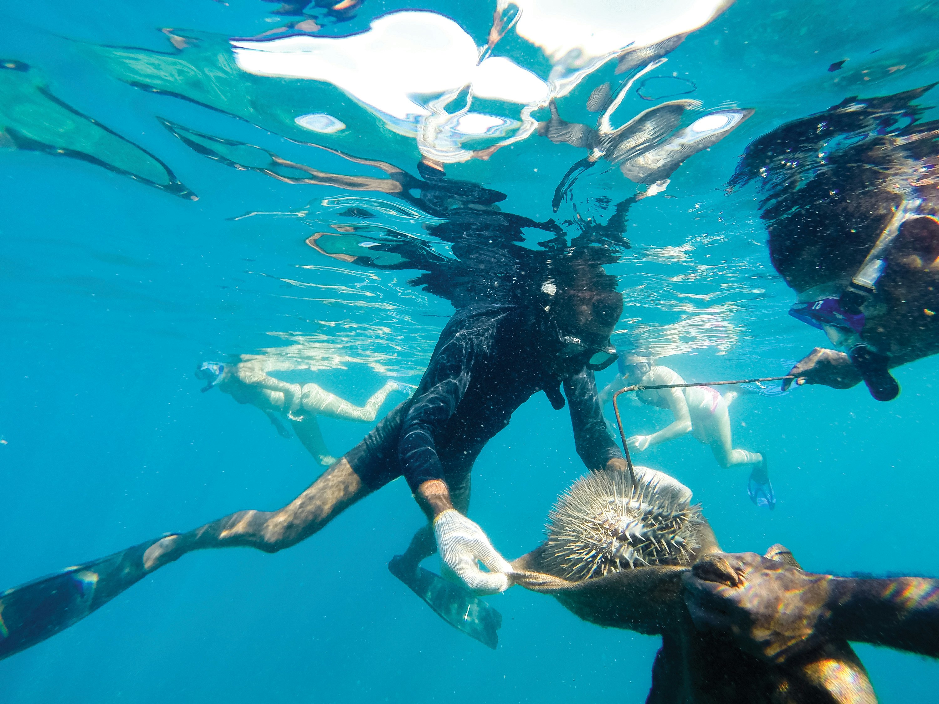 Gap Year Student Travel Programs