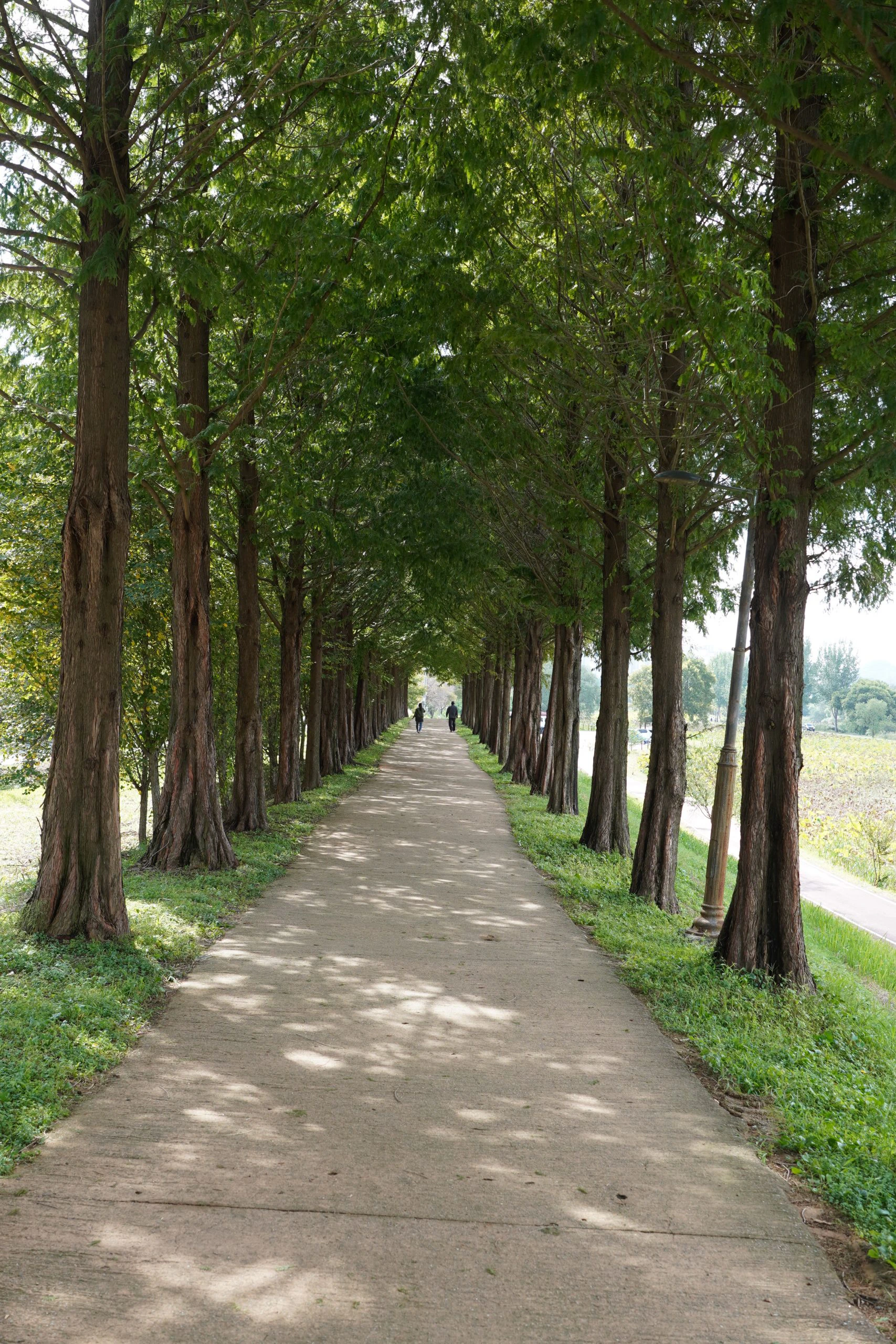 Seoul Searching: Modern Korea | Rustic Pathways