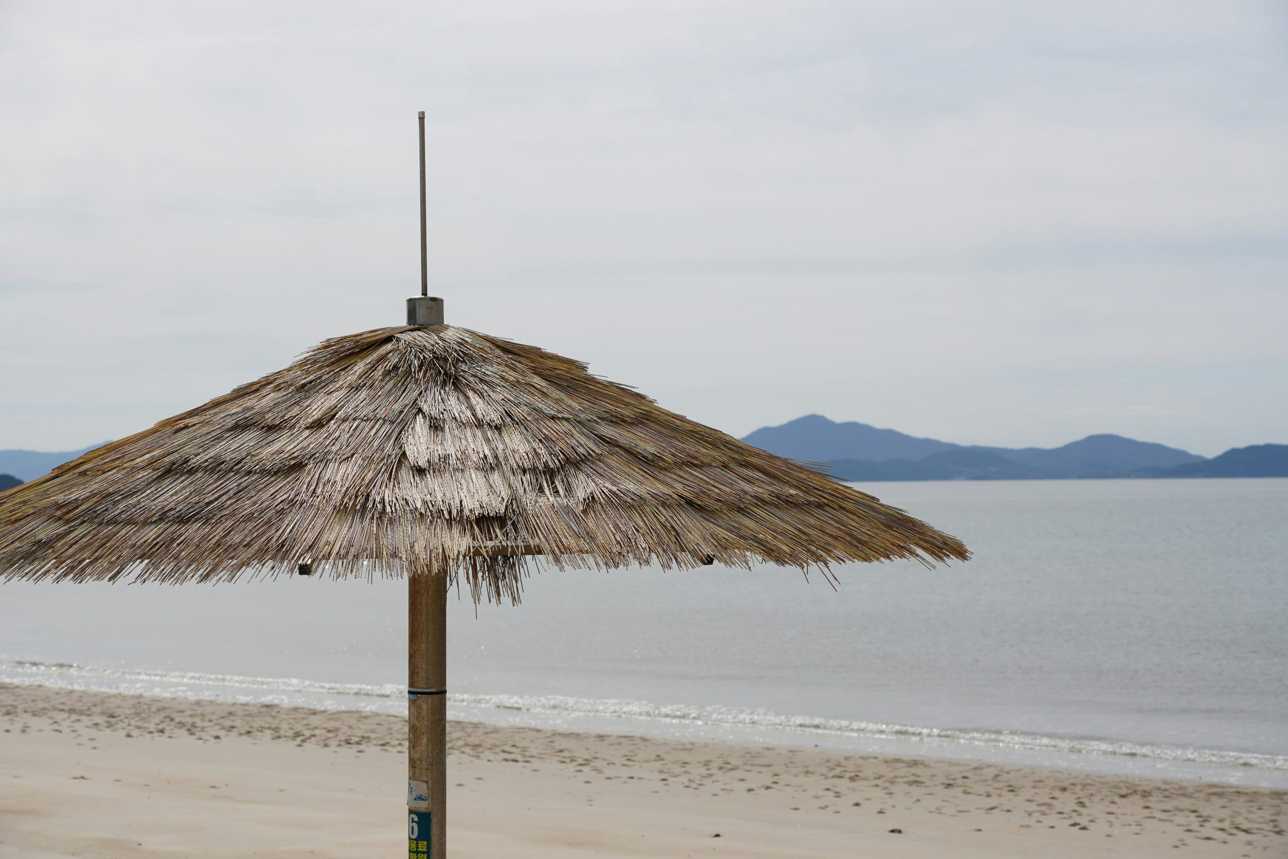 Seoul Searching: Modern Korea | Rustic Pathways