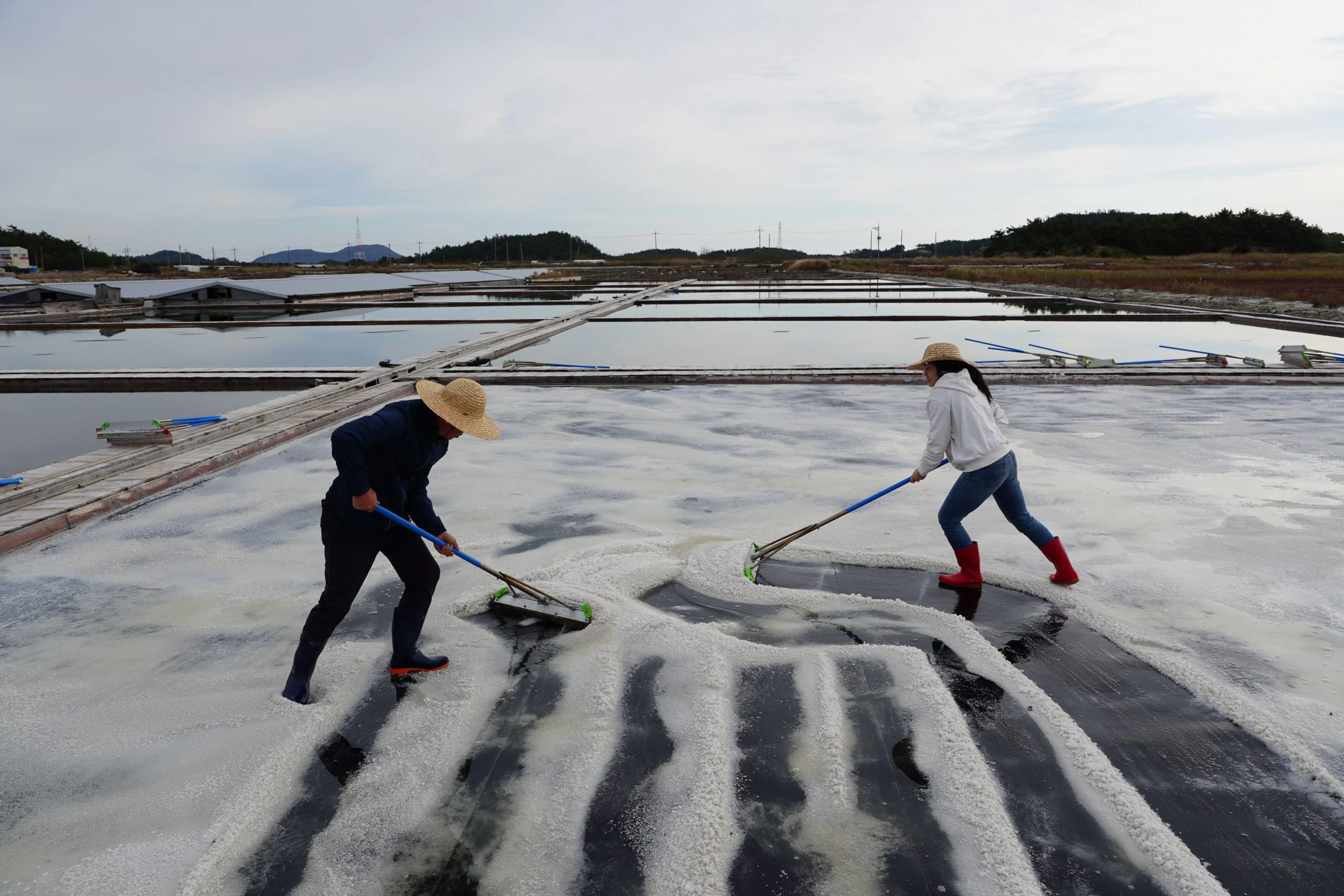 Seoul Searching: Modern Korea | Rustic Pathways