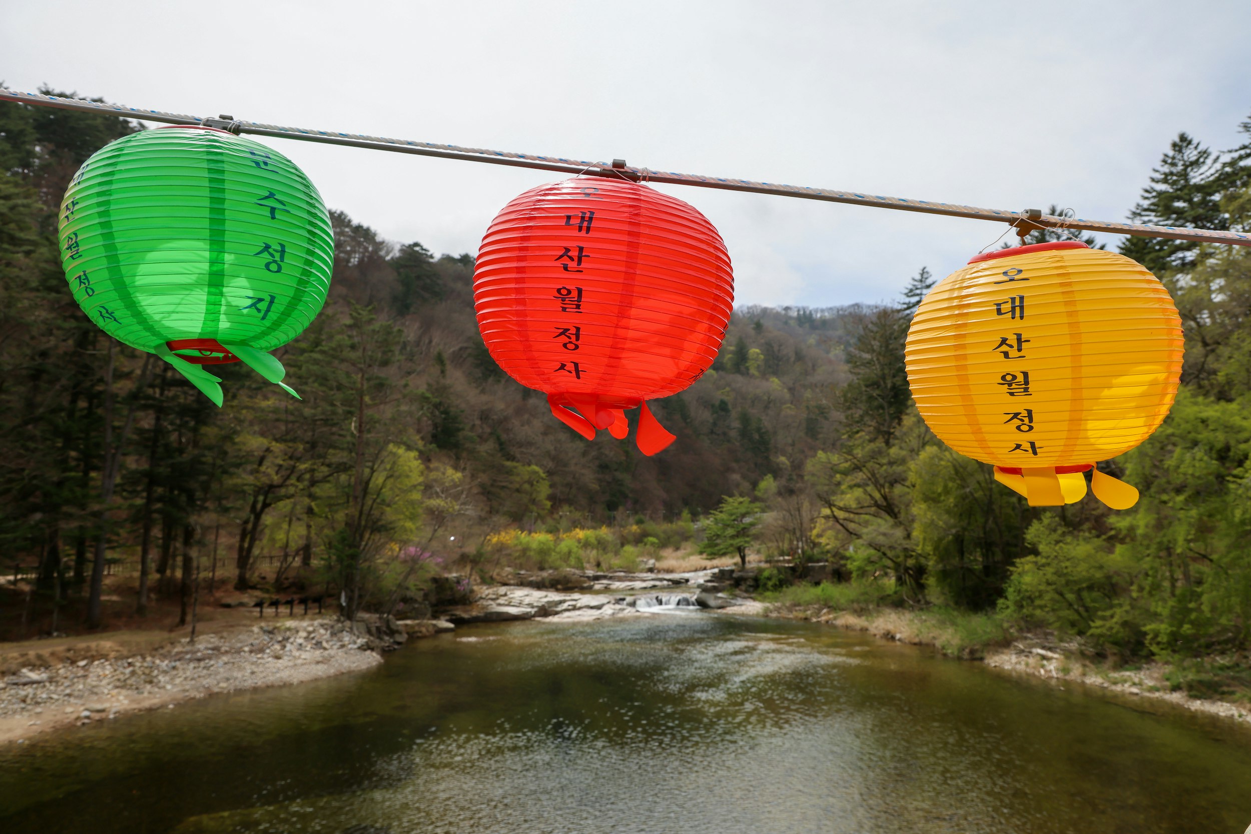 Seoul Searching: Modern Korea | Rustic Pathways