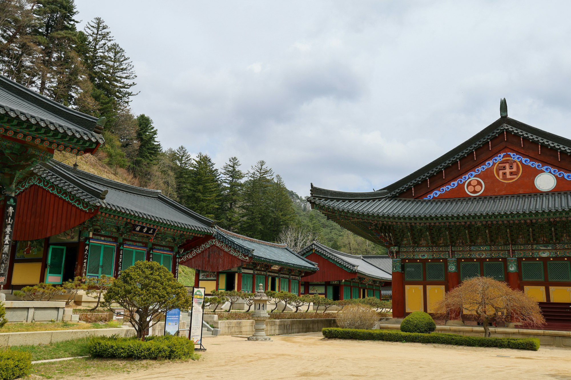 Seoul Searching: Modern Korea | Rustic Pathways