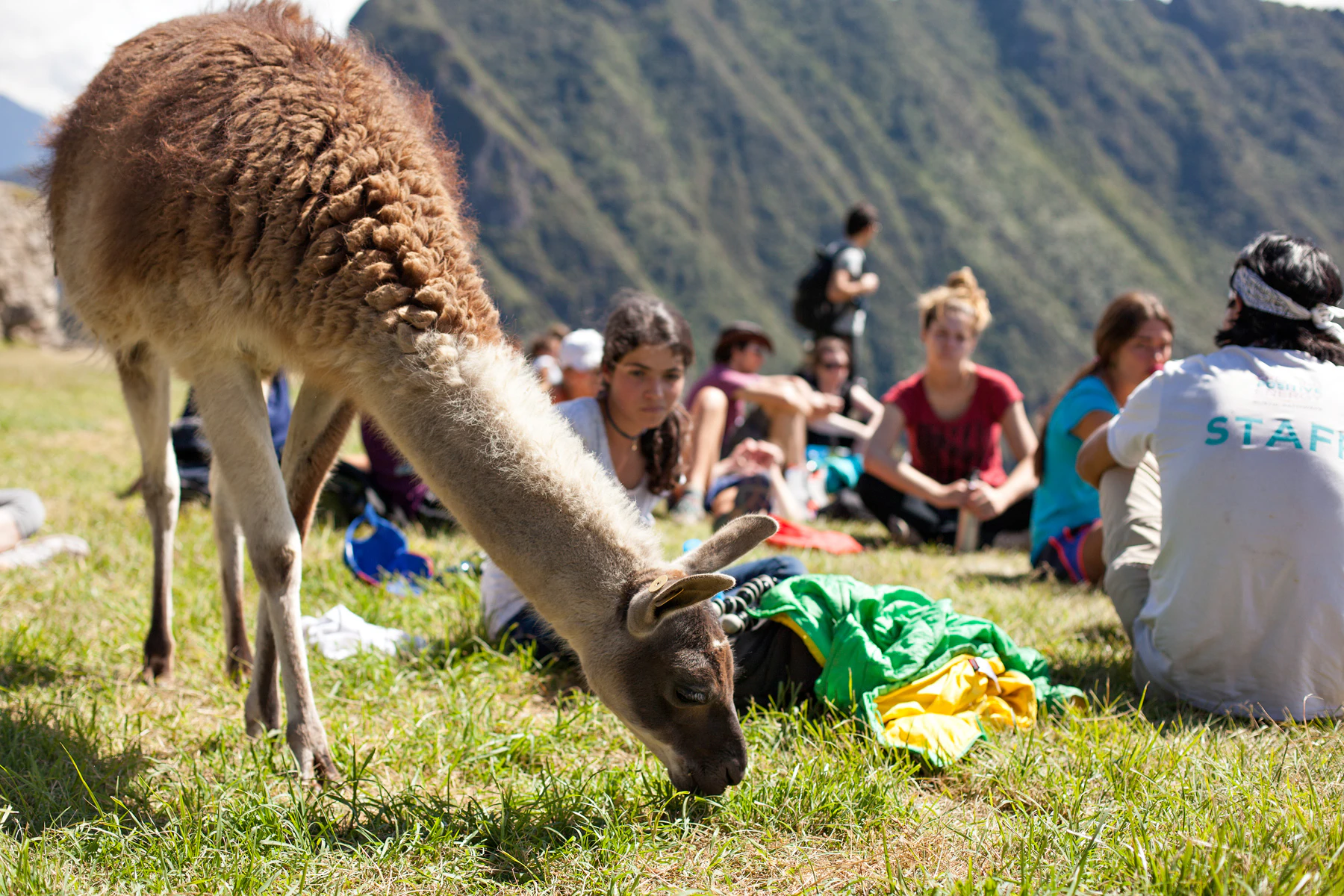 12 Fun Facts About Peru to Inspire Your Next Trip
