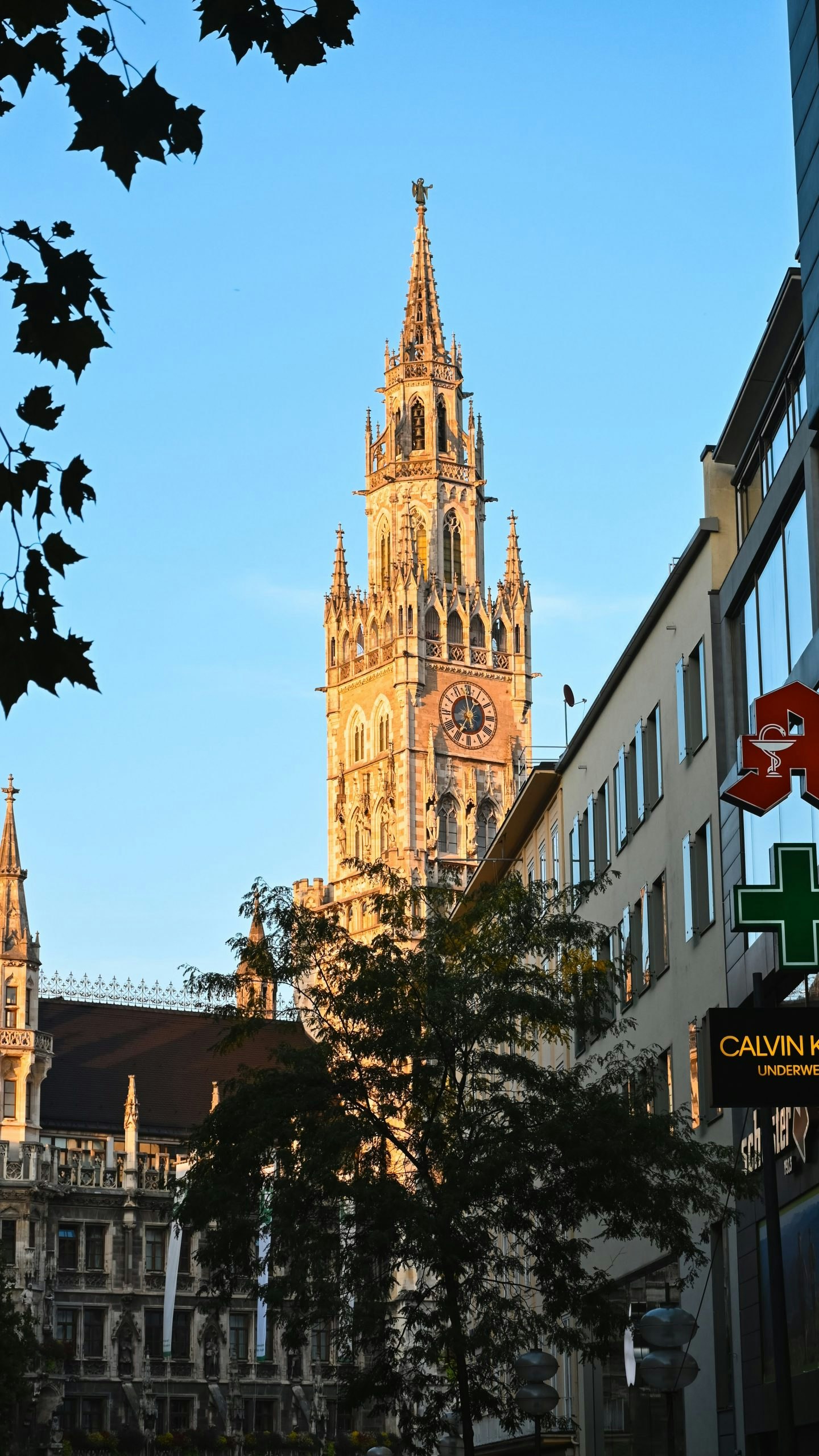 Germany & Austria: Alpine Adventure | Rustic Pathways