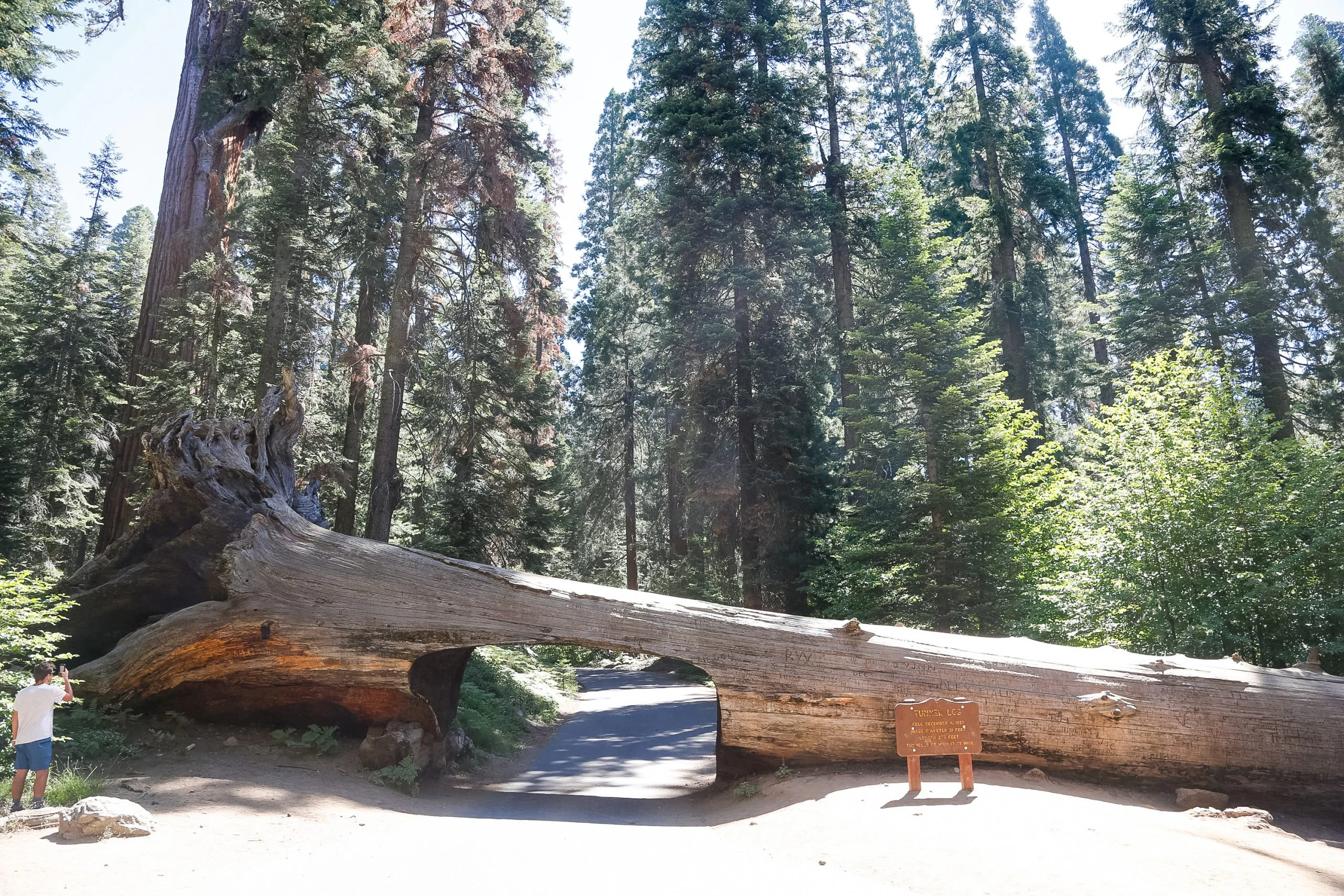 14 Fun Facts About California