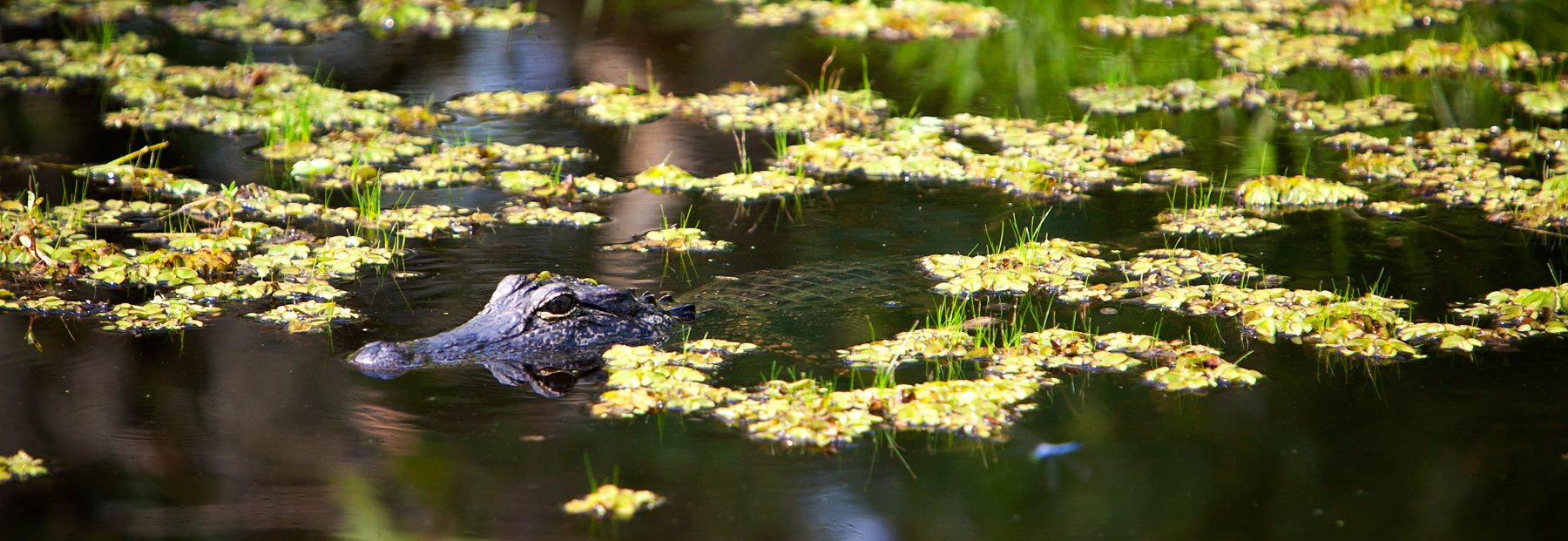 Students Programs in United States | Rustic Pathways