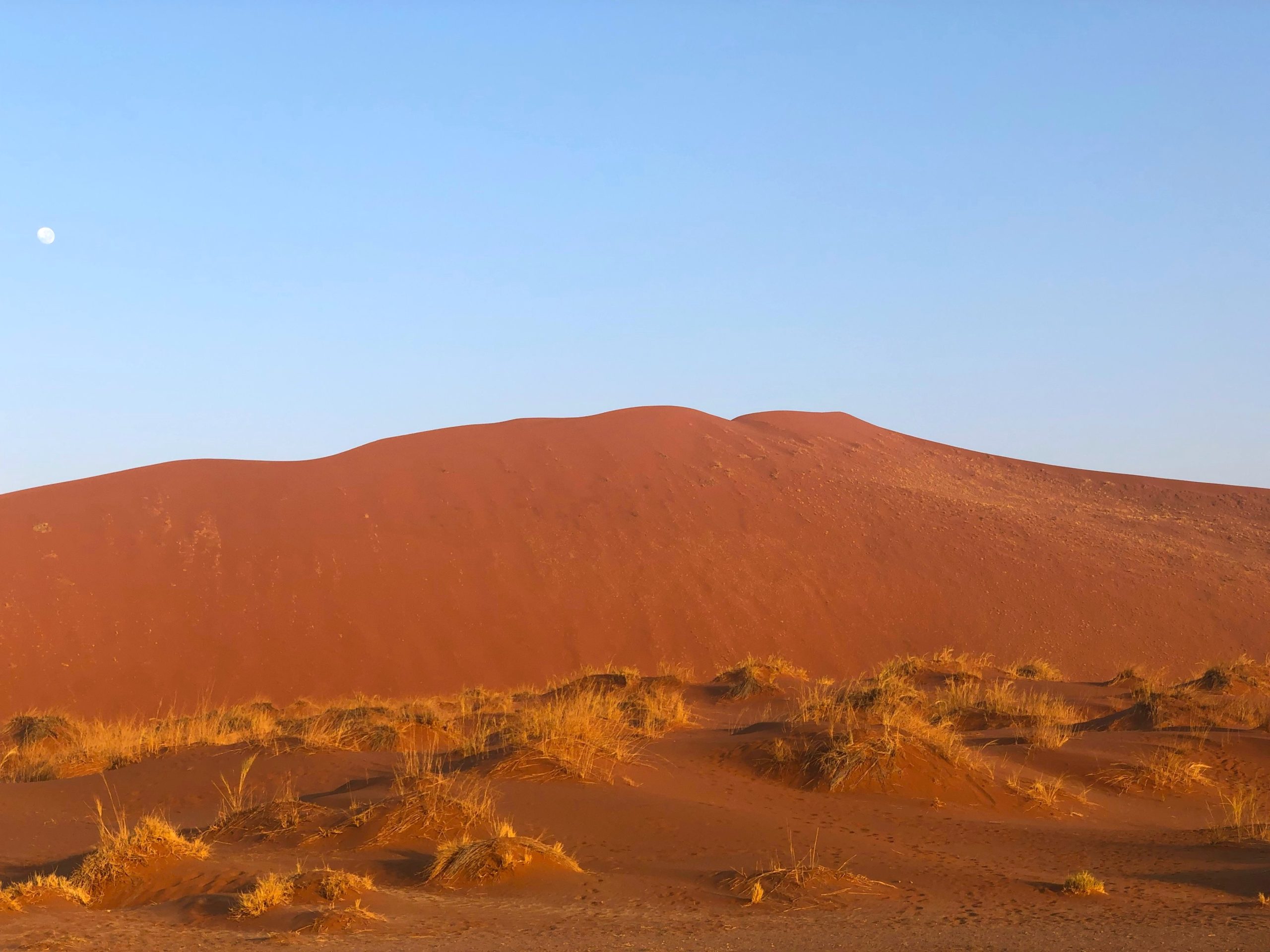 8 Fun Facts About Botswana, Your Next Travel Destination