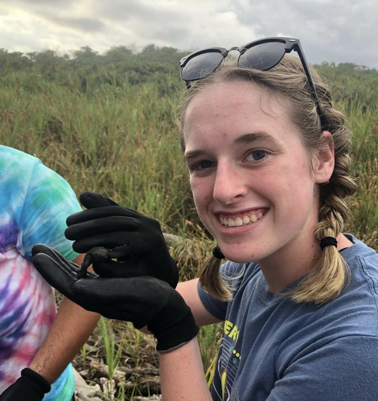 Turtle Conservation Trip: Chat with Katie | Rustic Pathways