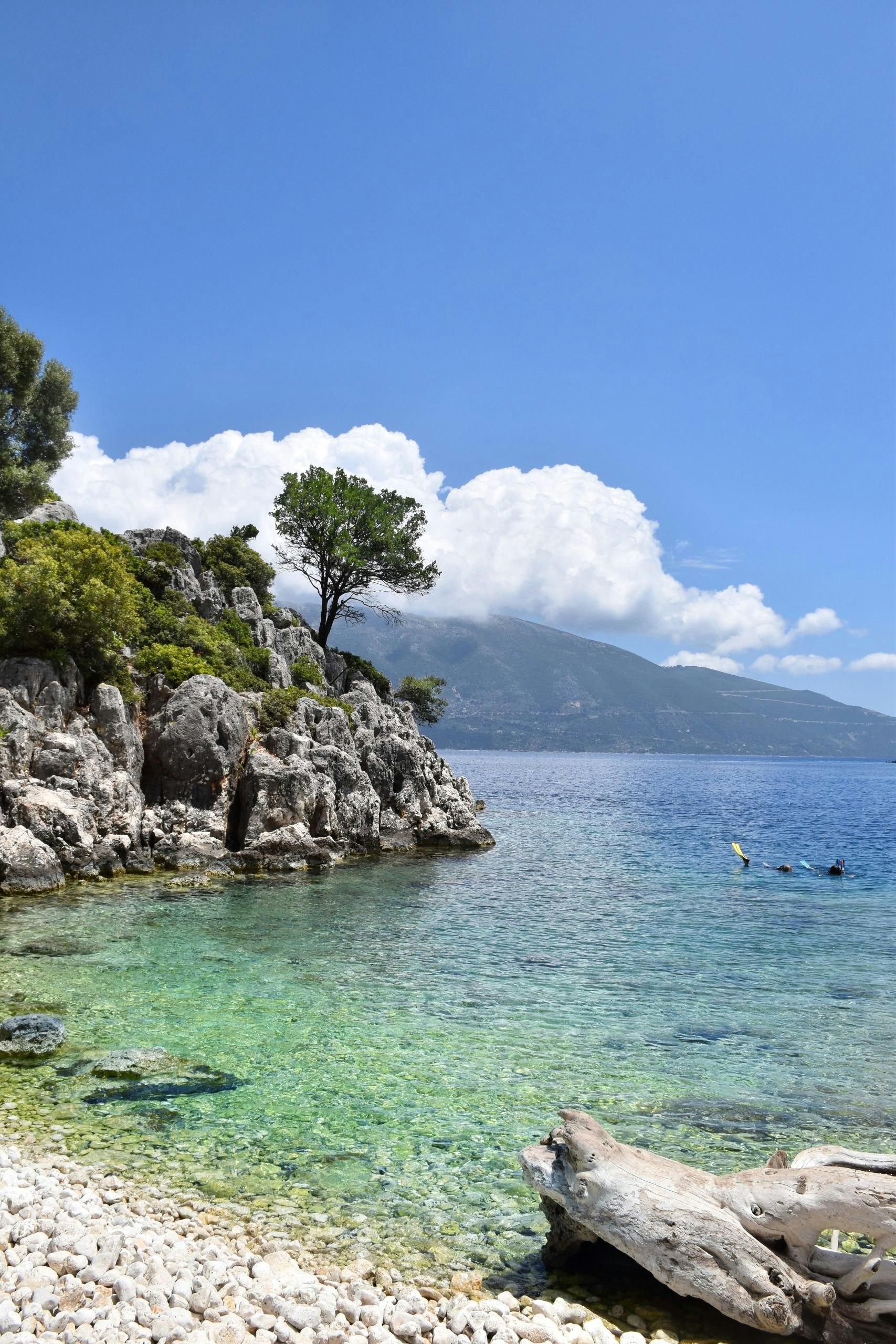 Greece: Island Turtle Conservation