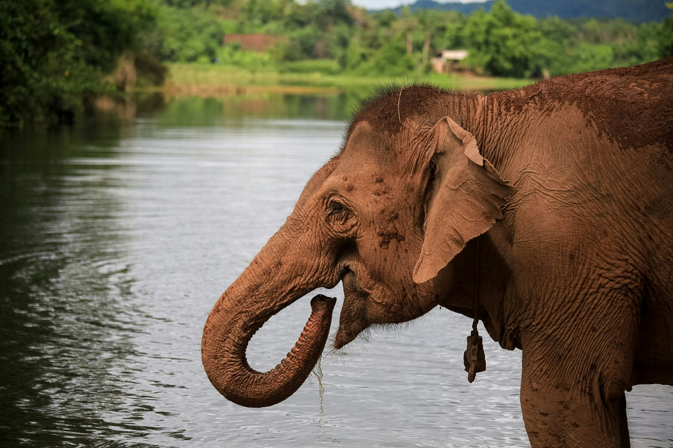 Gap Year Programs | Rustic Pathways