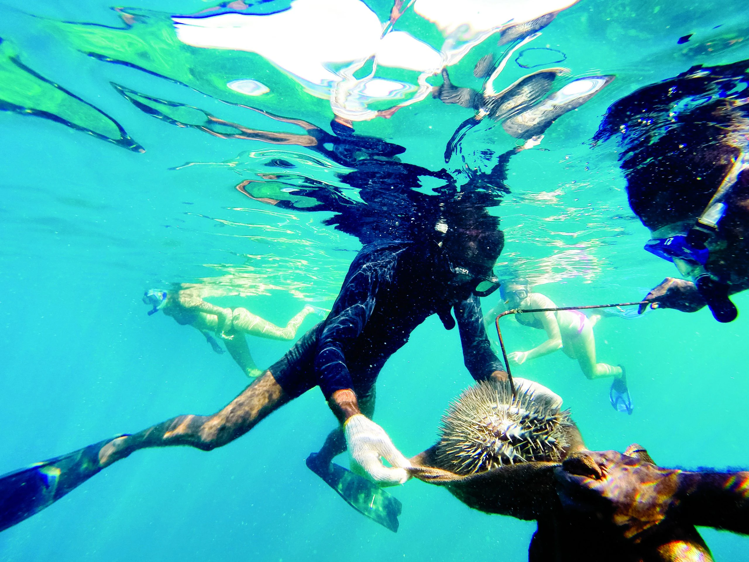 Best Teen Travel Camps for 2026 – Unforgettable Adventures for Young ...